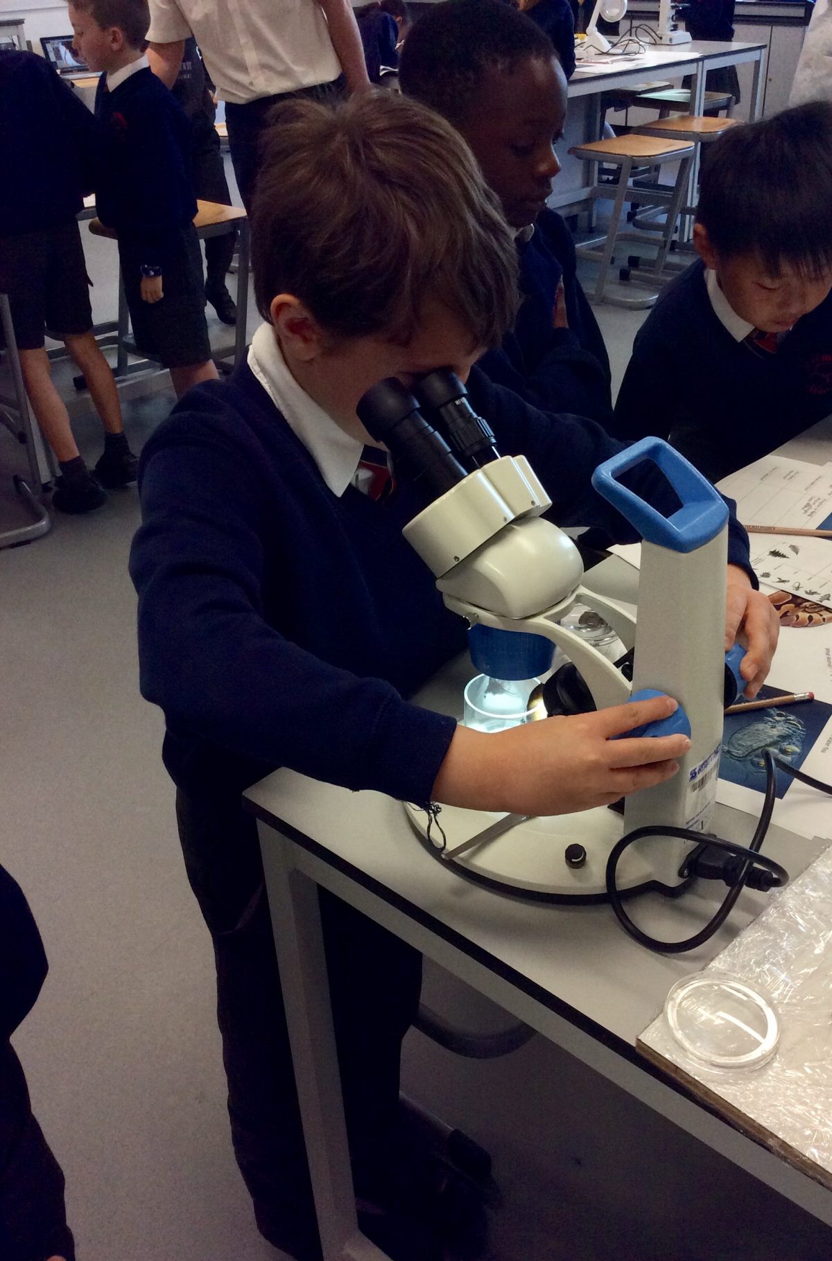 Primary Biology – Abingdon Science Partnership