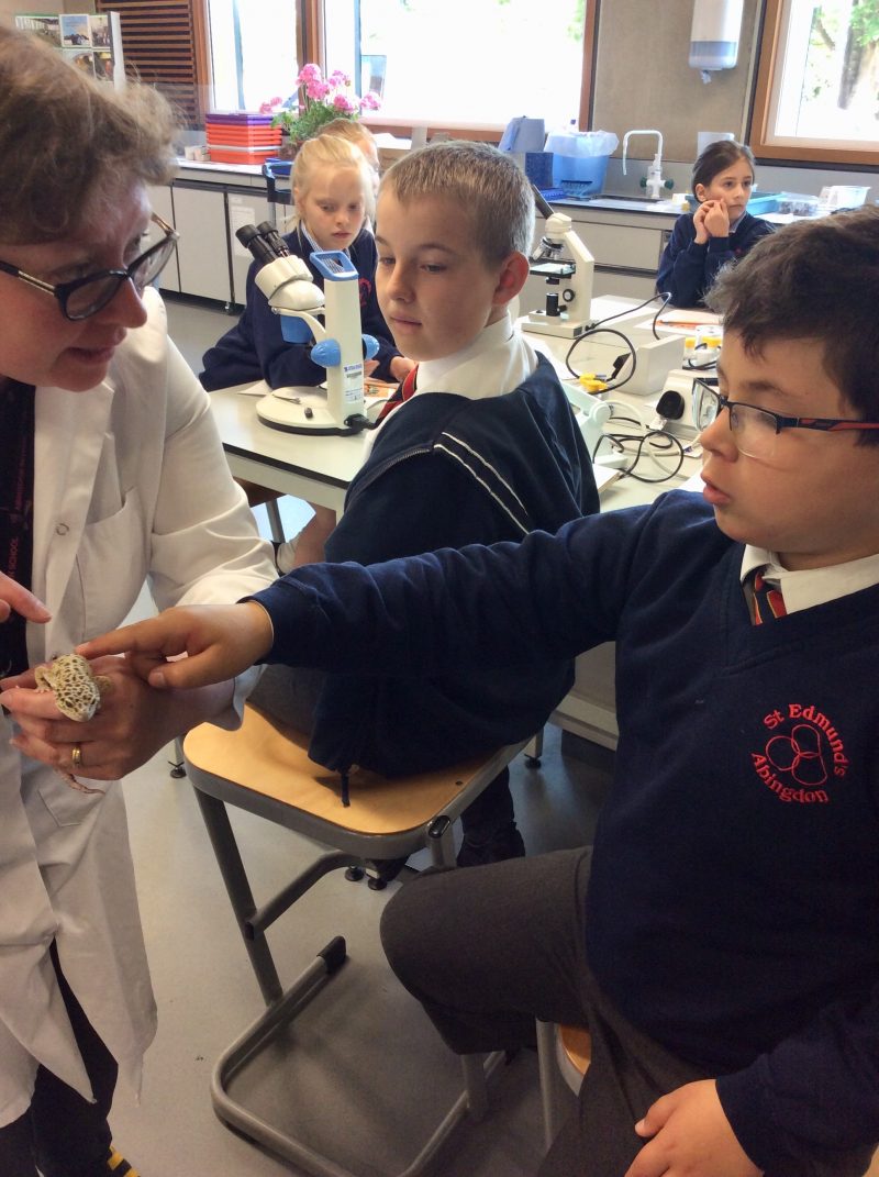 Primary Biology – Abingdon Science Partnership