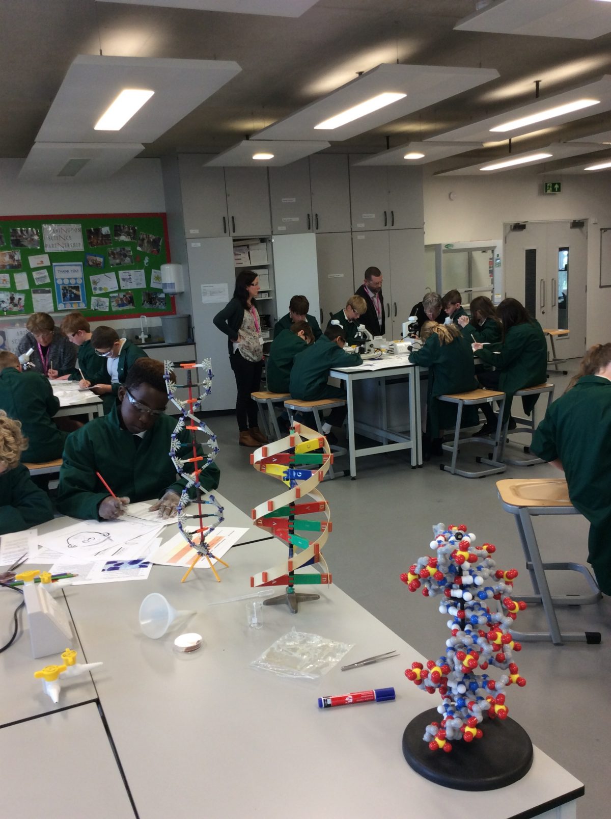 Primary Biology – Abingdon Science Partnership