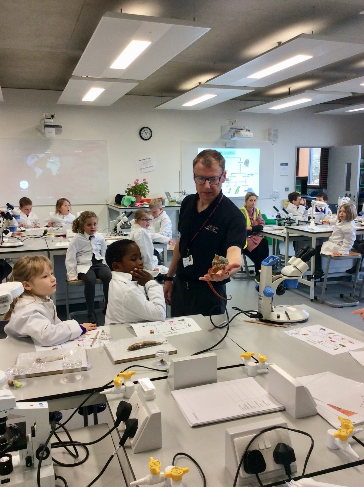 Primary Biology – Abingdon Science Partnership